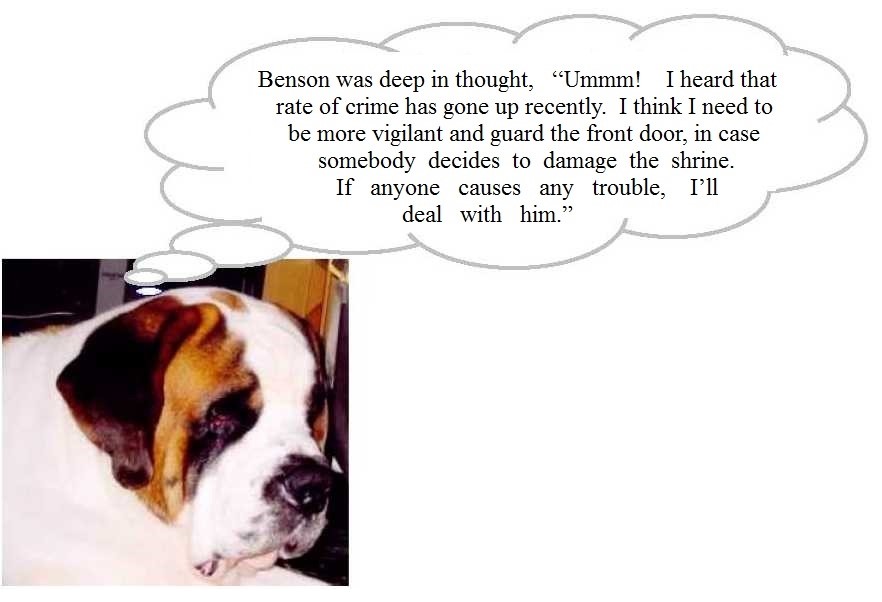 Dog Benson Memes